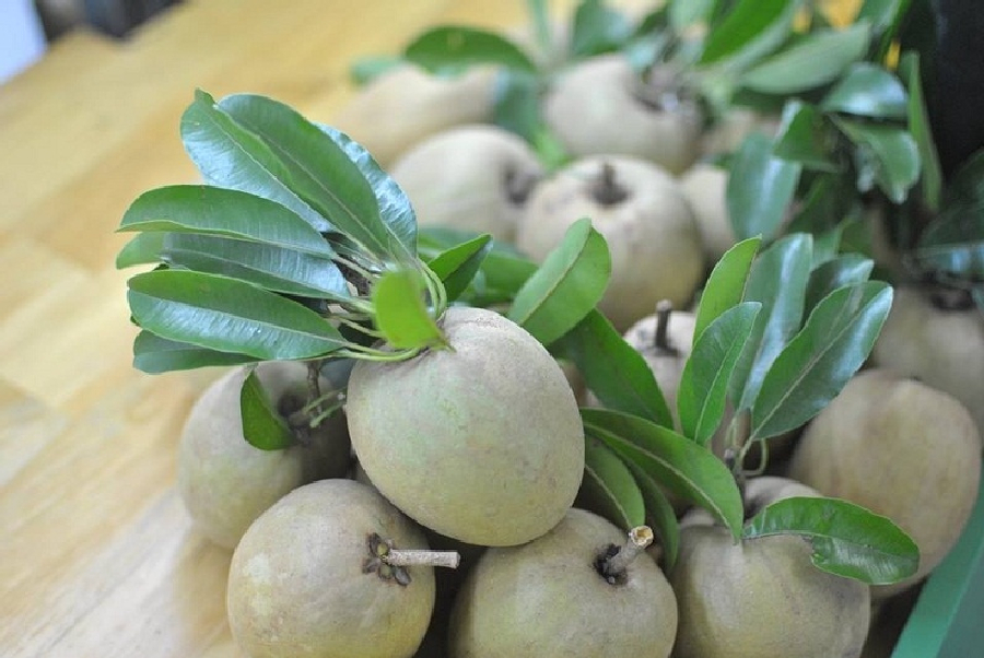 Best Fruits of Vietnam: A Fantastic Culinary Journey